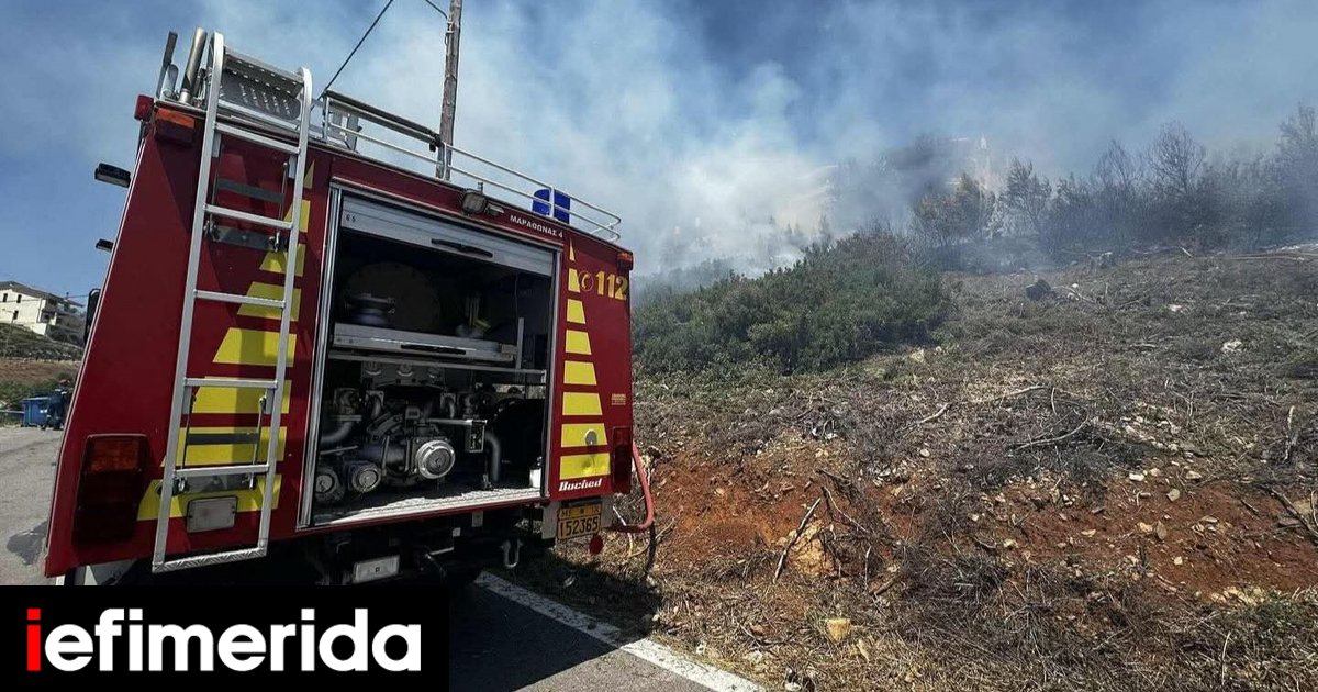 Οριοθετήθηκε η φωτιά στον Νέο Βουτζά - iefimerida.gr