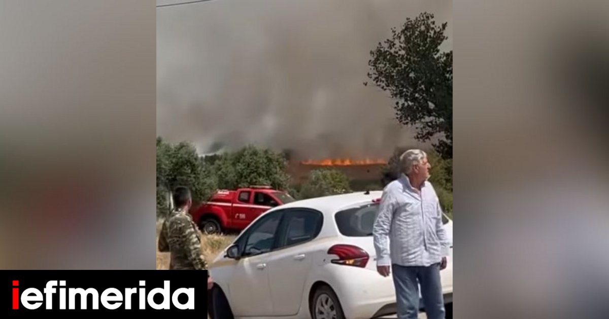 Σε εξέλιξη φωτιά τώρα στα Άβδηρα Ξάνθης - iefimerida.gr