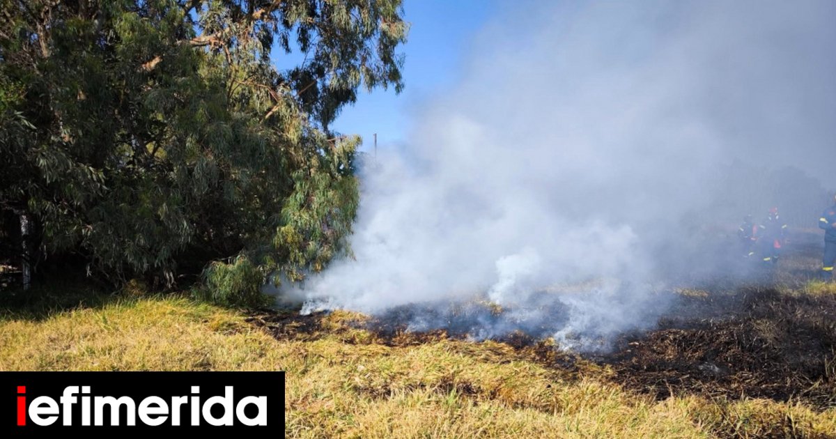 Χανιά: Οριοθετήθηκε άμεσα η φωτιά στα Ραπανιανά -Εστάλη προειδοποιητικό μήνυμα 112 - iefimerida.gr