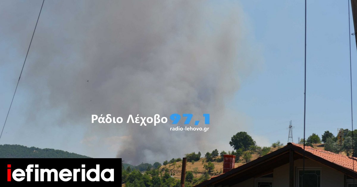 Φλώρινα: Οριοθετήθηκε η φωτιά στο Βαρικό -Συνεχίζεται η μάχη της ...