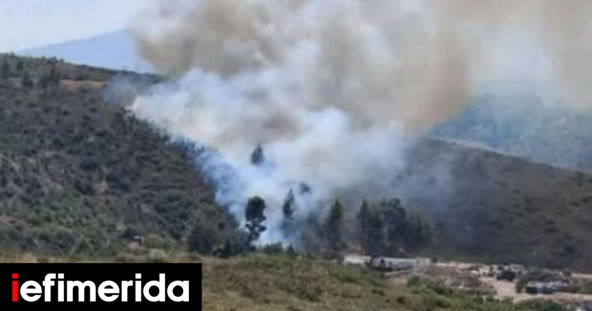 Πυροσβεστική: Υπό μερικό έλεγχο η πυρκαγιά στον Άγιο Στέφανο -44 αγροτοδασικές πυρκαγιές το ...
