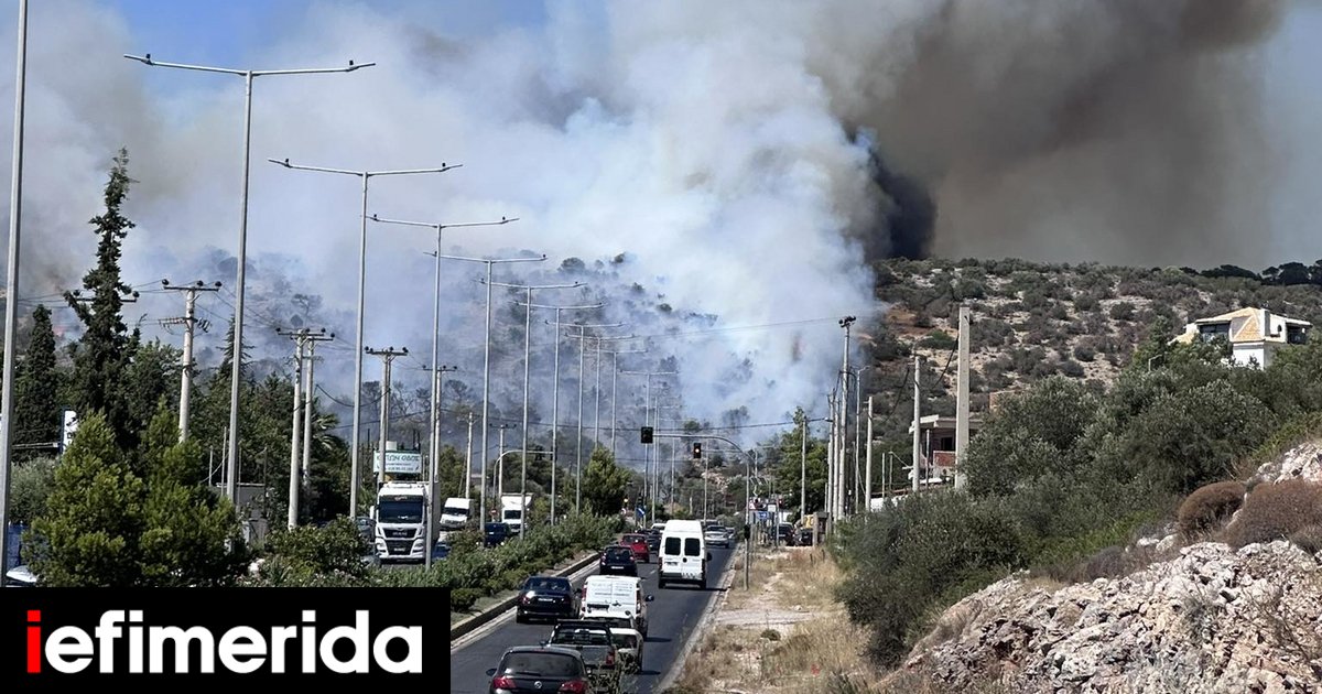 Χωρίς ενεργό μέτωπο πλέον η πυρκαγιά στο Κίτσι, μέσα σε 45', χάρη στην έγκαιρη επέμβαση της ...