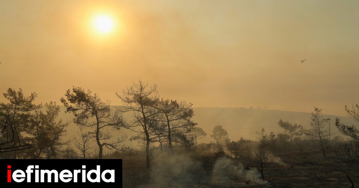 Κύπρος: Σε ύφεση η φονική φωτιά στη Λεμεσό -Ετοιμοι να βοηθήσουν οι ...