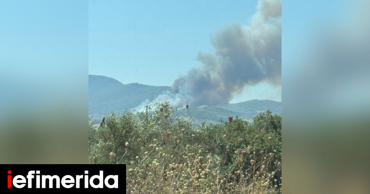 Μεσσηνία: Μεγάλη φωτιά στην περιοχή Πολυθέα -Στην μάχη εναέρια μέσα, μήνυμα του 112 για ...