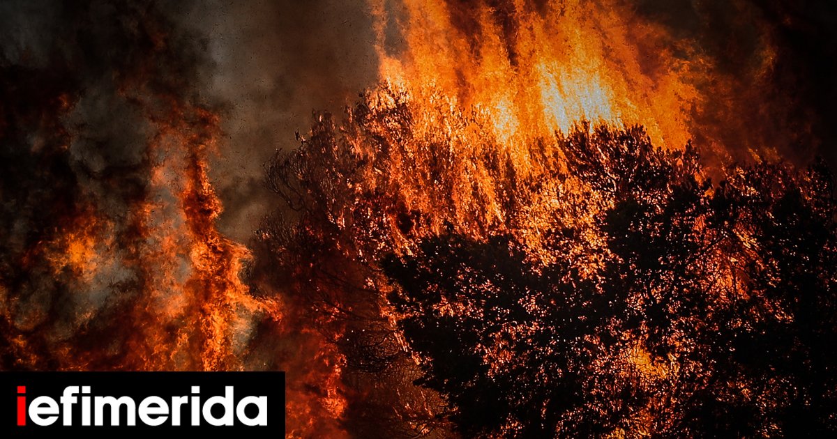 Ιωάννινα: Φωτιά ξέσπασε στον Πρωτόπαππα Ζίτσας -Ήχησε το 112 - iefimerida.gr