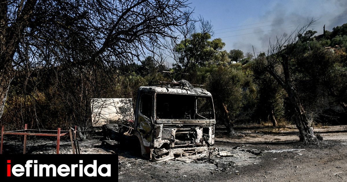 Φωτιές στην Αχαΐα: Αποζημίωση έως 6.000 ευρώ -Άξονας πέντε δράσεων για την αποκατάσταση των ...