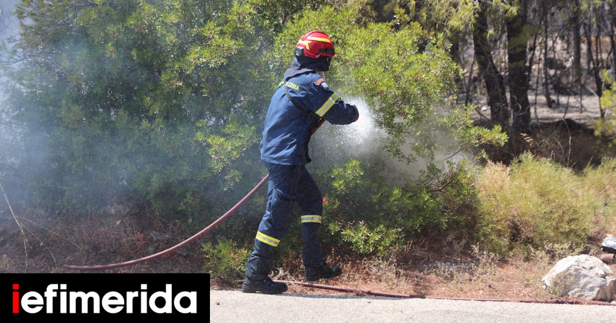 Very high risk of fire in Attica, Crete, parts of Central Greece and ...