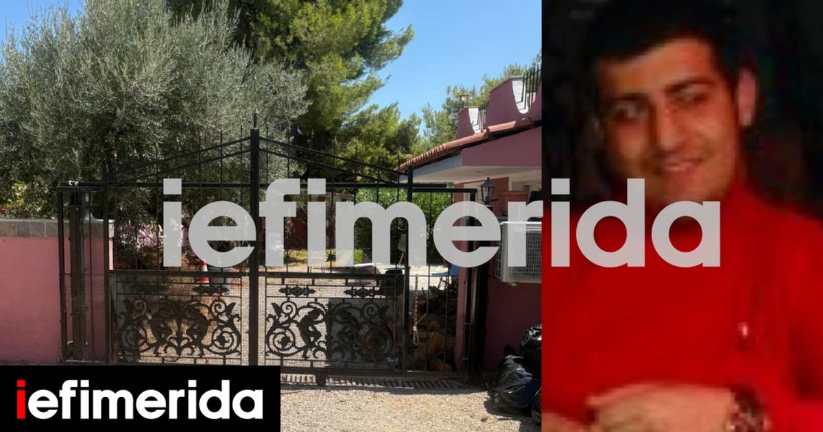 Suspected Turkish Mafia Members Detained in Greece - iefimerida.gr