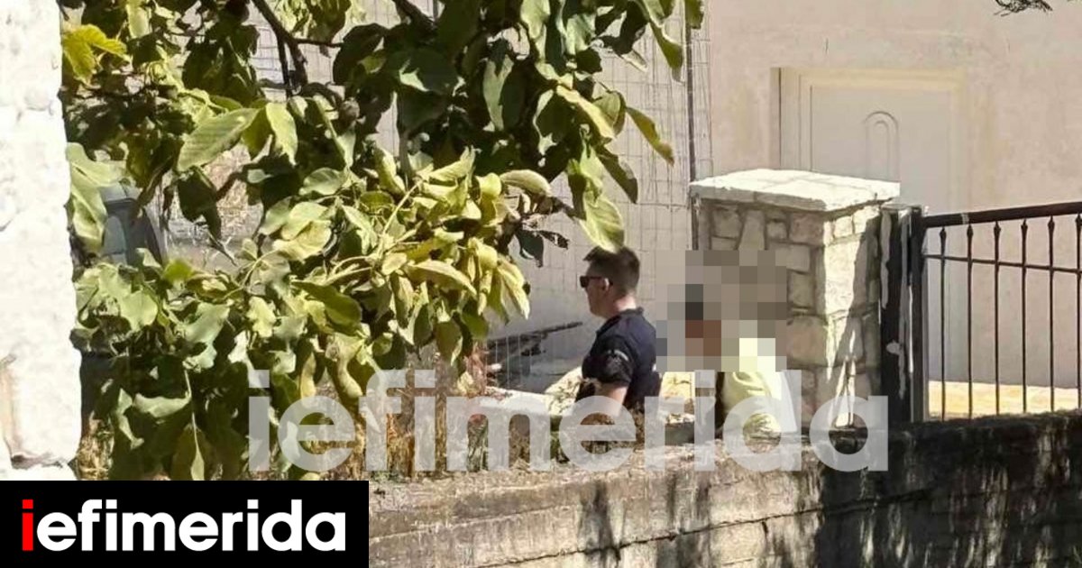 Βοιωτία: Τι κατέθεσε ο 28χρονος γιος της 62χρονης που έθαψε τη μητέρα της -«Είχα να δω τη γιαγιά ...