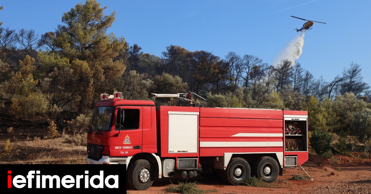 Φωτιά στο Πολυδάμειο Λάρισας: Επιχειρούν 40 πυροσβέστες και 4 εναέρια -Εστάλη μήνυμα από το 112 ...