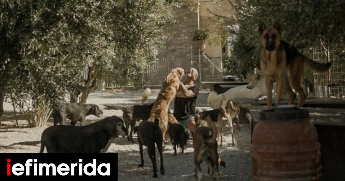 Η συγκινητική ιστορία του Takis Shelter και του ιδρυτή του, Τάκη ...