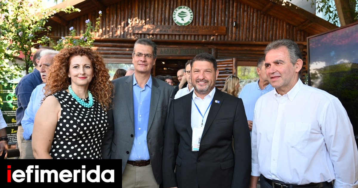 Χαρδαλιάς: «Οι γειτονιές δεν μπορούν να περιμένουν άλλο -Δεν αρκεί να ...