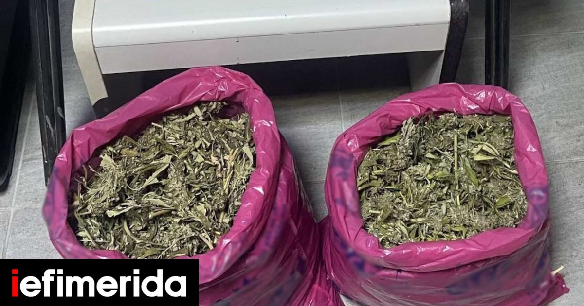 Πέλλα: Δύο συλλήψεις για ναρκωτικά -Κατασχέθηκαν 3 κιλά κάνναβης ...