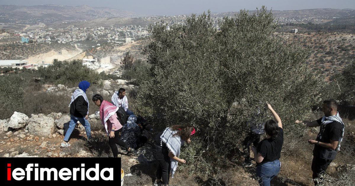 Το Ισραήλ απέλασε 32 ακτιβιστές από τη Δυτική Όχθη -Βοηθούσαν ...
