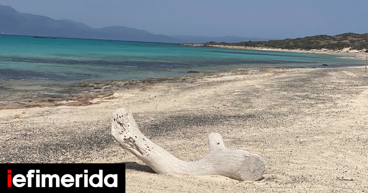 Αυτοψία στη νήσο Χρυσή: Βελτιωμένη η οικολογική κατάσταση στο ...