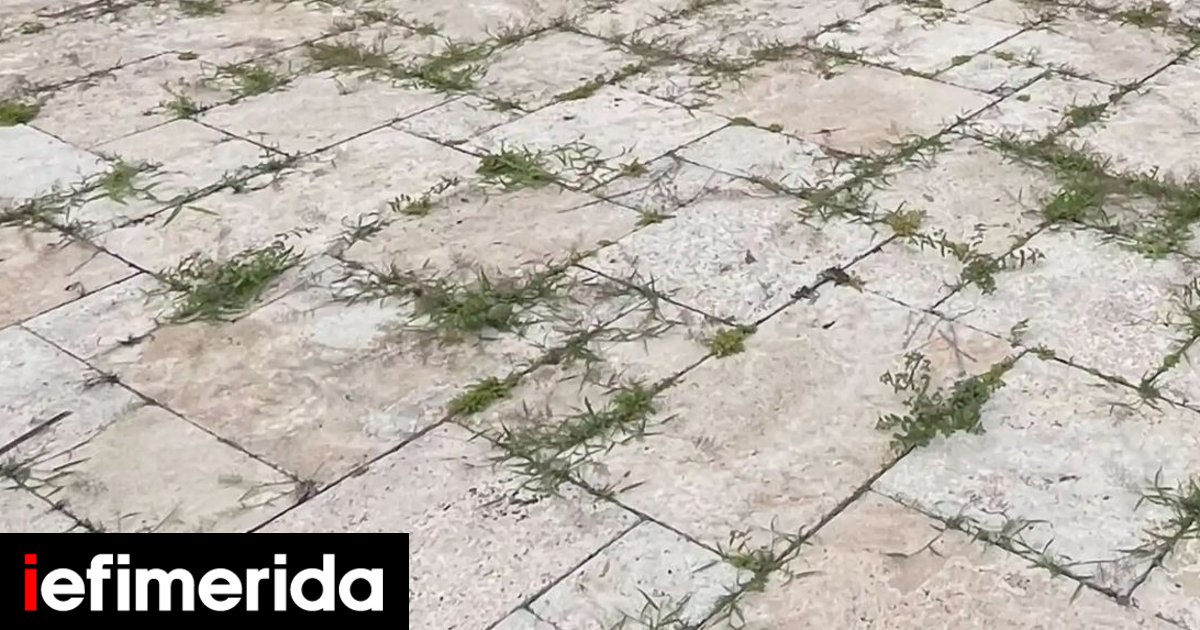Πώς να αποτρέψετε οριστικά το να φυτρώνουν ζιζάνια ανάμεσα στις πλάκες ...