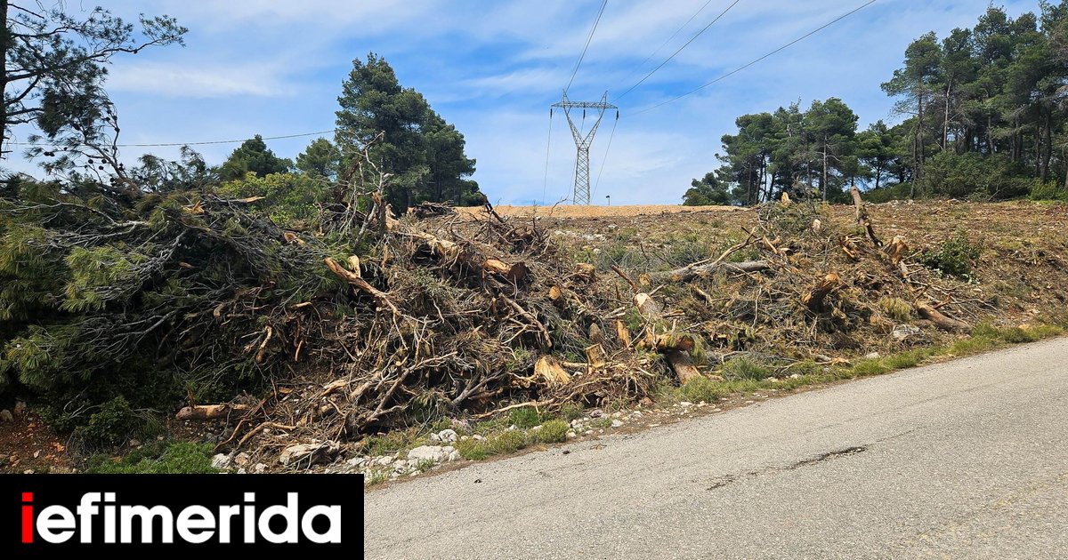 Παράταση έως 22 Ιουνίου για τον καθαρισμό οικοπέδων - iefimerida.gr