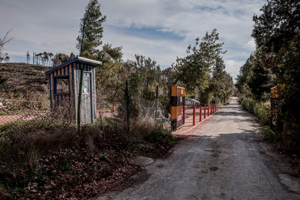 Αυτοψία Μενδώνη στο Τατόι -Πώς προχωράνε οι εργασίες για την ταφή του ...