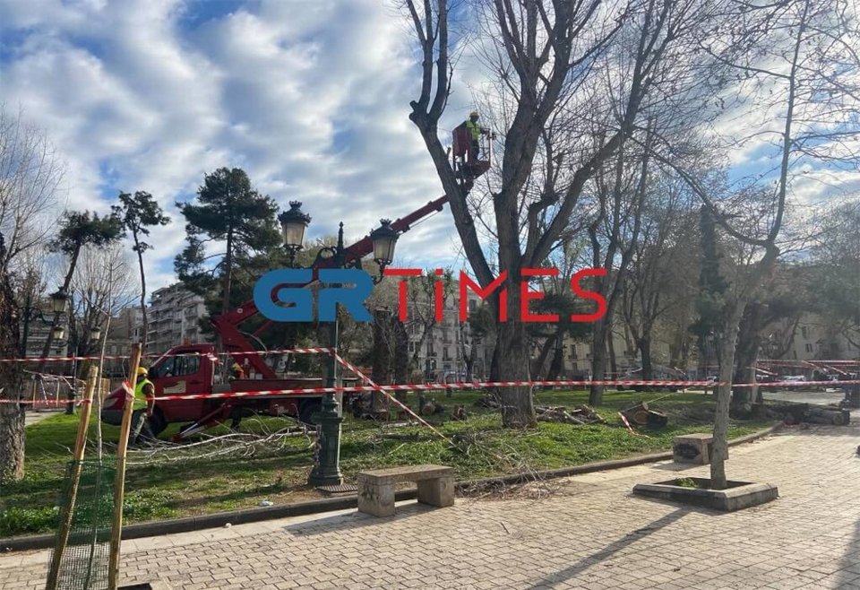 Θεσσαλονίκη: Οικολόγοι διαμαρτύρονται για την κοπή δέντρων στη Ρωμαϊκή ...