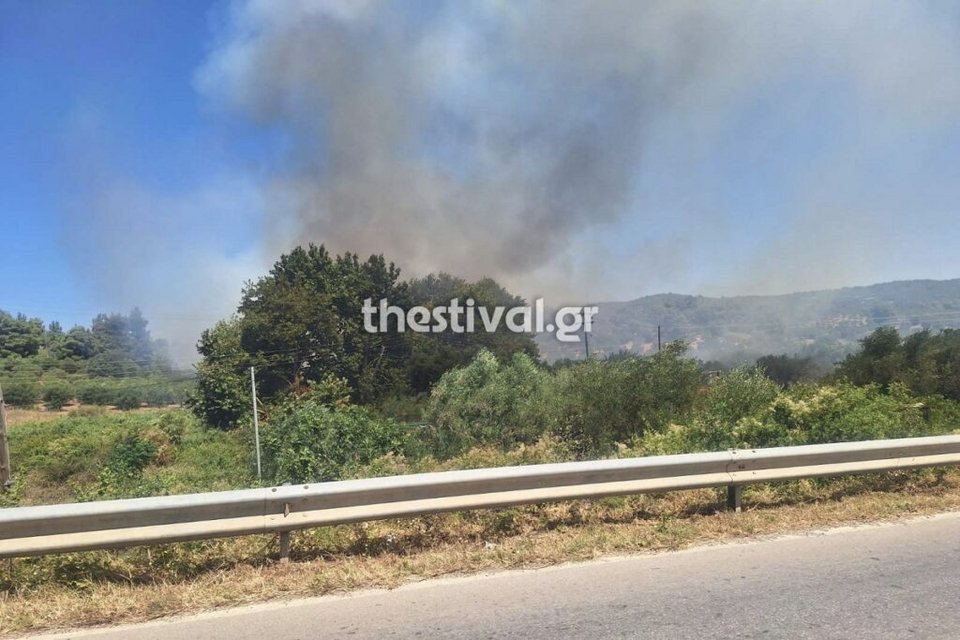 Θεσσαλονίκη: Υπό μερικό έλεγχο η φωτιά σε χορτολιβαδική έκταση μεταξύ ...