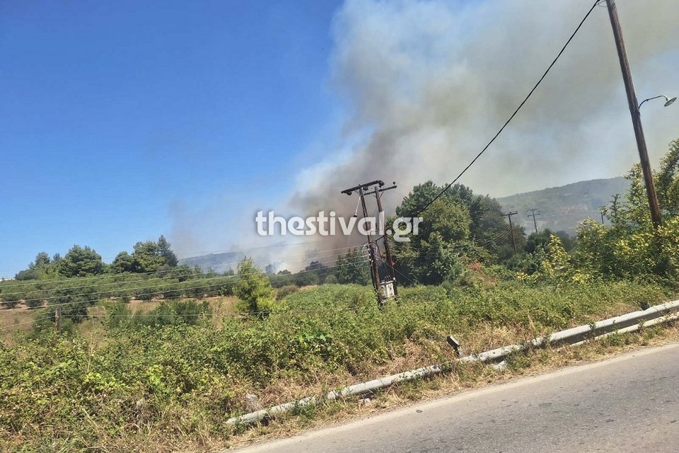Θεσσαλονίκη: Υπό μερικό έλεγχο η φωτιά σε χορτολιβαδική έκταση μεταξύ ...
