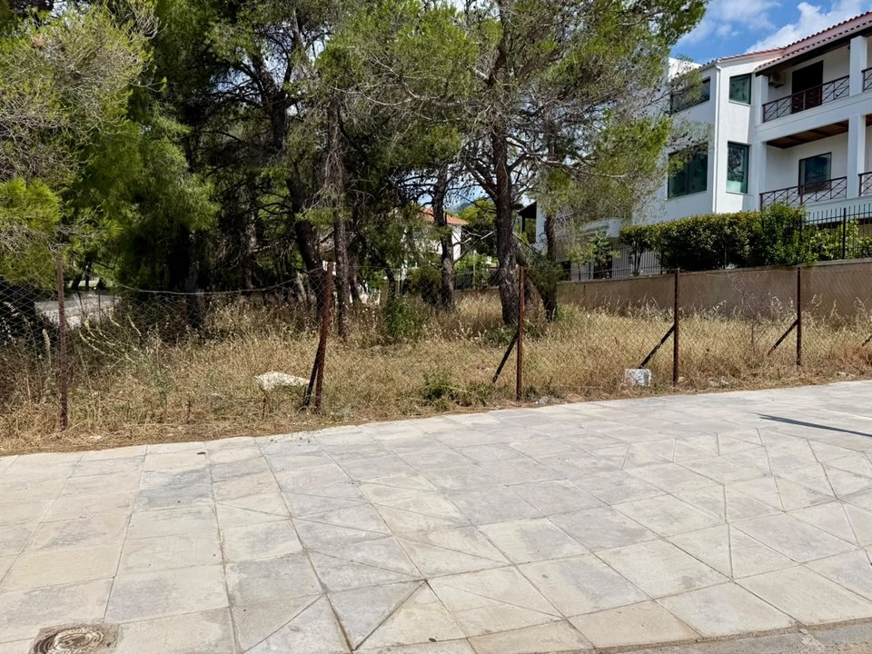 Αντίστροφη μέτρηση για τα ακαθάριστα οικόπεδα: Ποιους αφορά, τσουχτερά ...