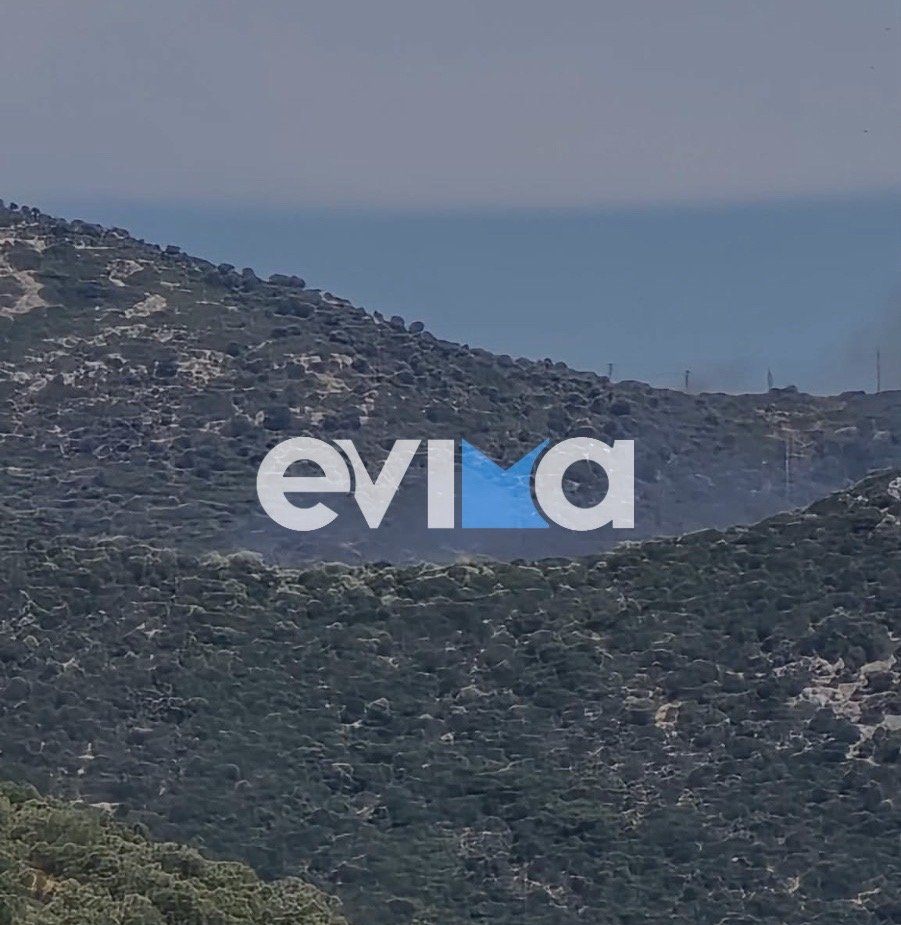Φωτιά σε δάσος στην Εύβοια -Σηκώθηκαν εννέα εναέρια μέσα, μήνυμα από το ...