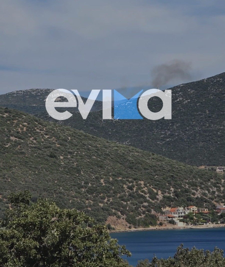 Φωτιά σε δάσος στην Εύβοια -Επιχειρούν και εναέρια μέσα για την ...