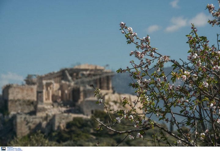 Ο υπέροχος μύθος της αμυγδαλιάς που εξηγεί γιατί η αγάπη νικά πάντα τον ...