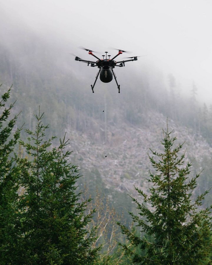 Αναδάσωση με drones: Startup θέλει να φυτεύει 40.000 δέντρα το μήνα - Πώς η νέα τεχνολογία ...