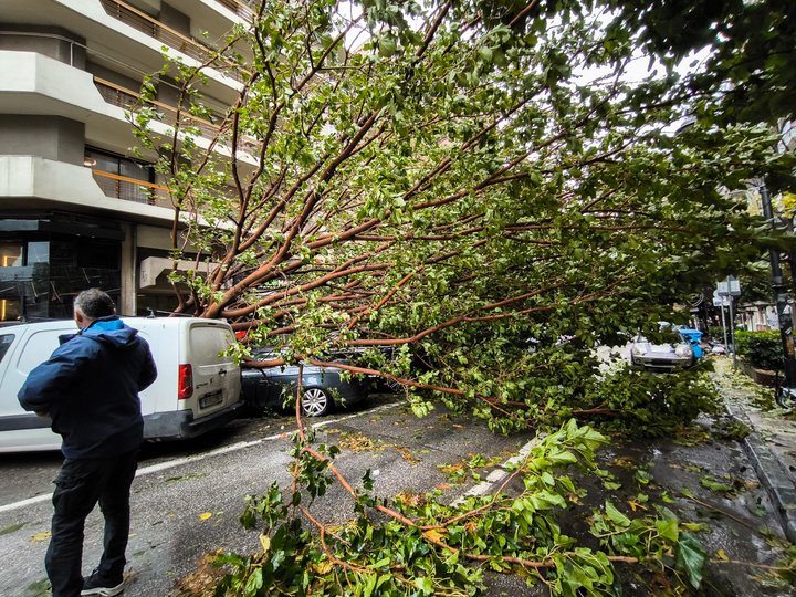 Η κακοκαιρία Bora πλήττει και τη Θεσσαλονίκη -Πάνω από 380 κλήσεις στην ...