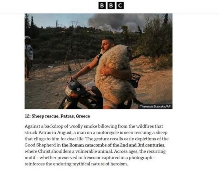 BBC: Ο 33χρονος από το Τεπελένι που έσωσε το πρόβατο στην Αχαΐα, από ...