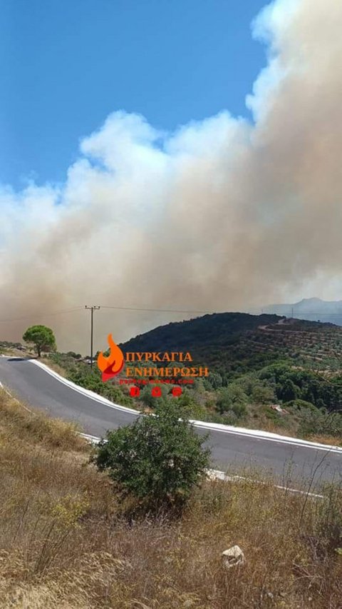Φωτιά σε δασική έκταση στα Κύθηρα -Στα 8 μποφόρ οι άνεμοι στην περιοχή ...