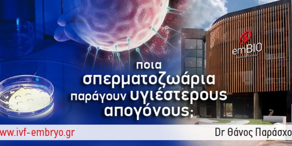 Ποια σπερματοζωάρια παράγουν υγιέστερους απογόνους; - iefimerida.gr