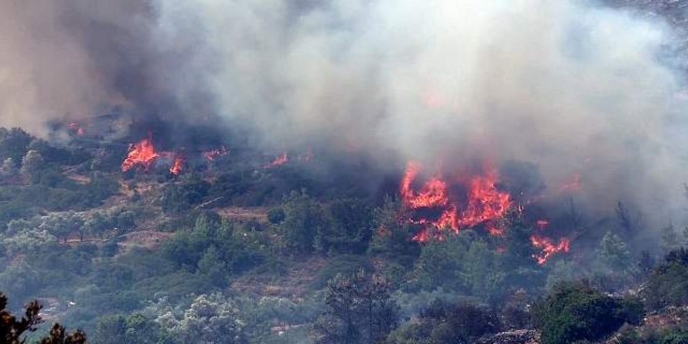 Σε εξέλιξη φωτιά στα Γεράνεια Ορη - iefimerida.gr