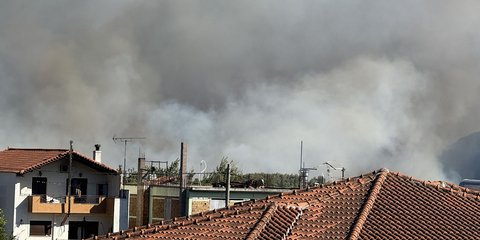 Φωτιά στον Βαρνάβα: Εκκενώνεται η Σταμάτα, εστάλη μήνυμα του 112 - iefimerida.gr