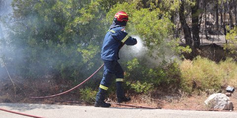 Very high risk of fire in Attica, Crete, parts of Central Greece and ...